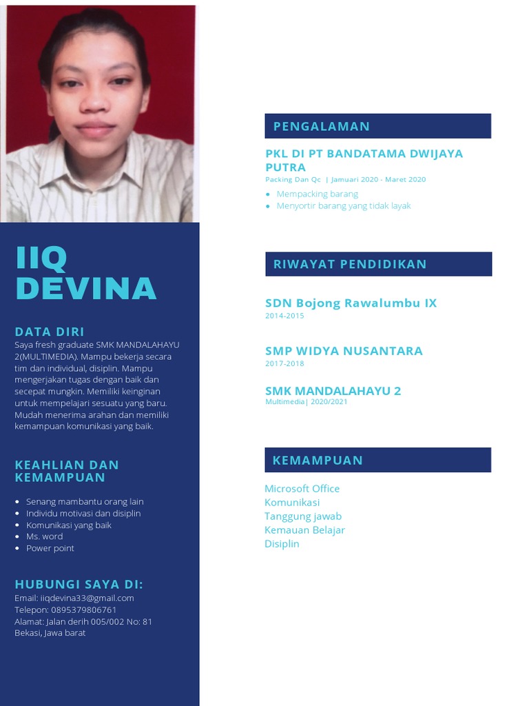 CV Iiq | PDF | Karier & Perkembangan