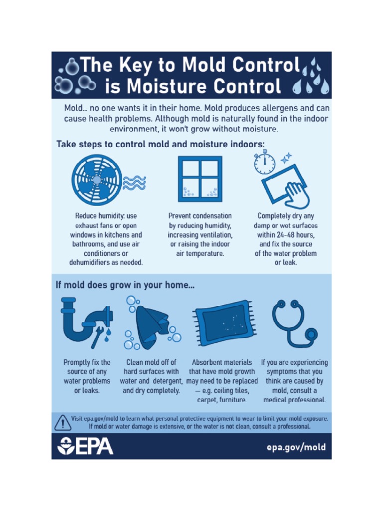 Mold Infographic | PDF