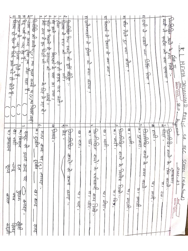 Hindi Assignment | PDF