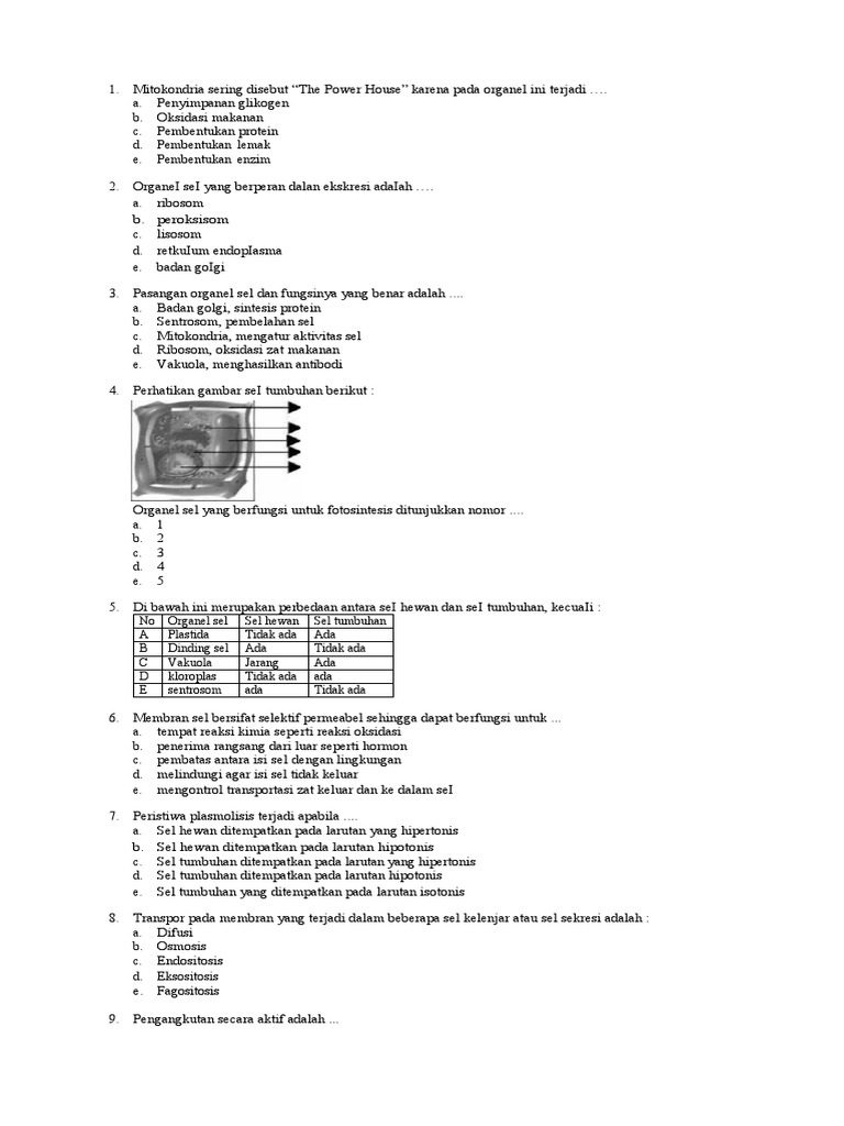 Soal Biologi Kelas 11 | PDF