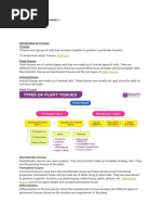 BIO-TISSUES MIND MAP Class 9 | PDF