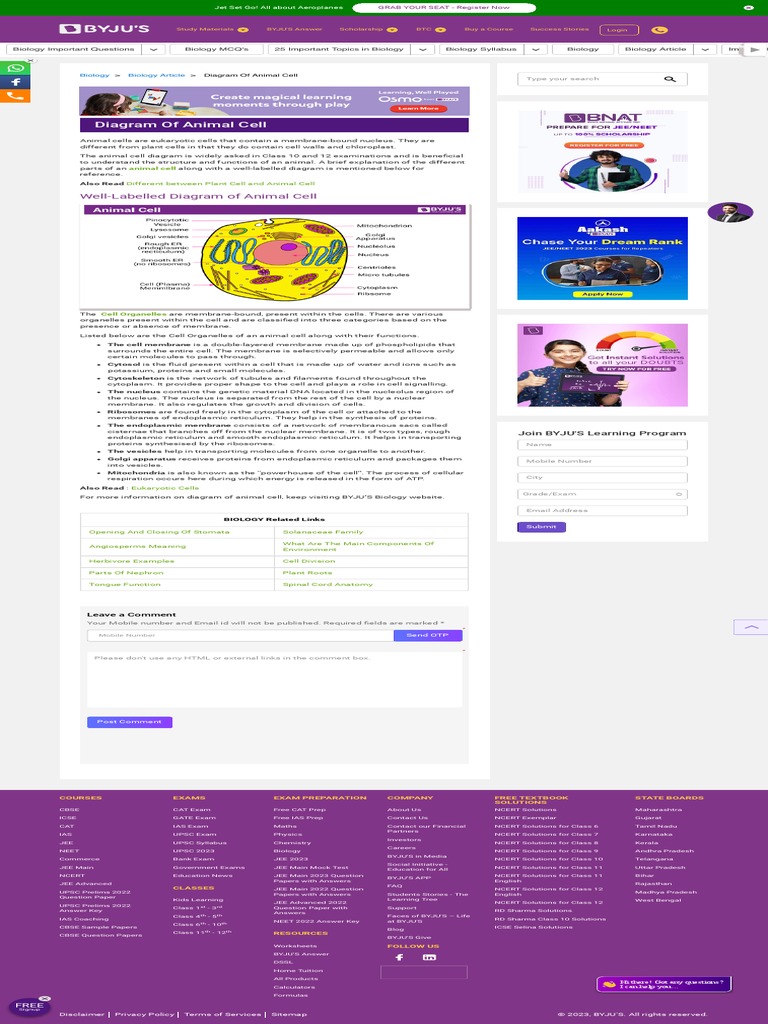 A Well-Labelled Diagram of Animal Cell With Explanation | PDF | Cell ...