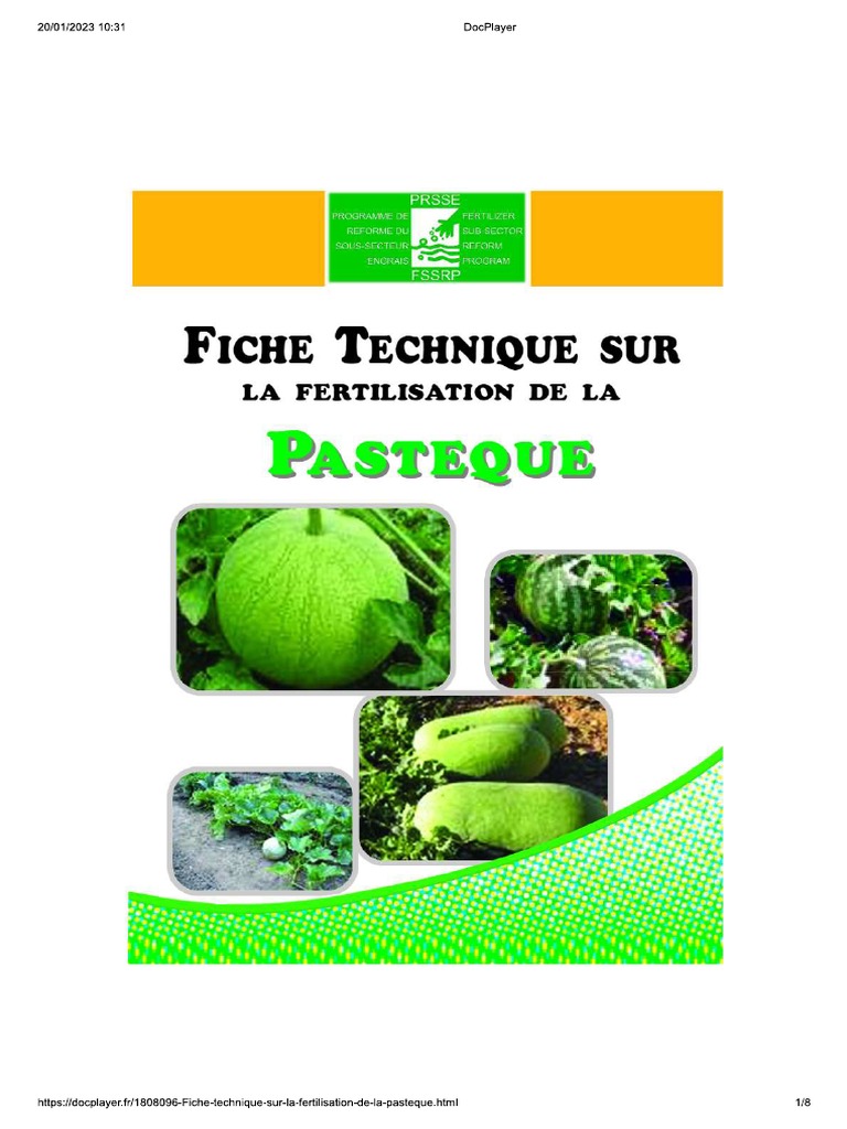 fertilisation de la Pastèque | PDF