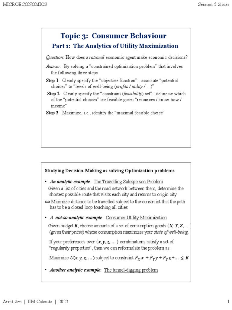 Session 5 Slides | PDF | Utility | Mathematical Optimization