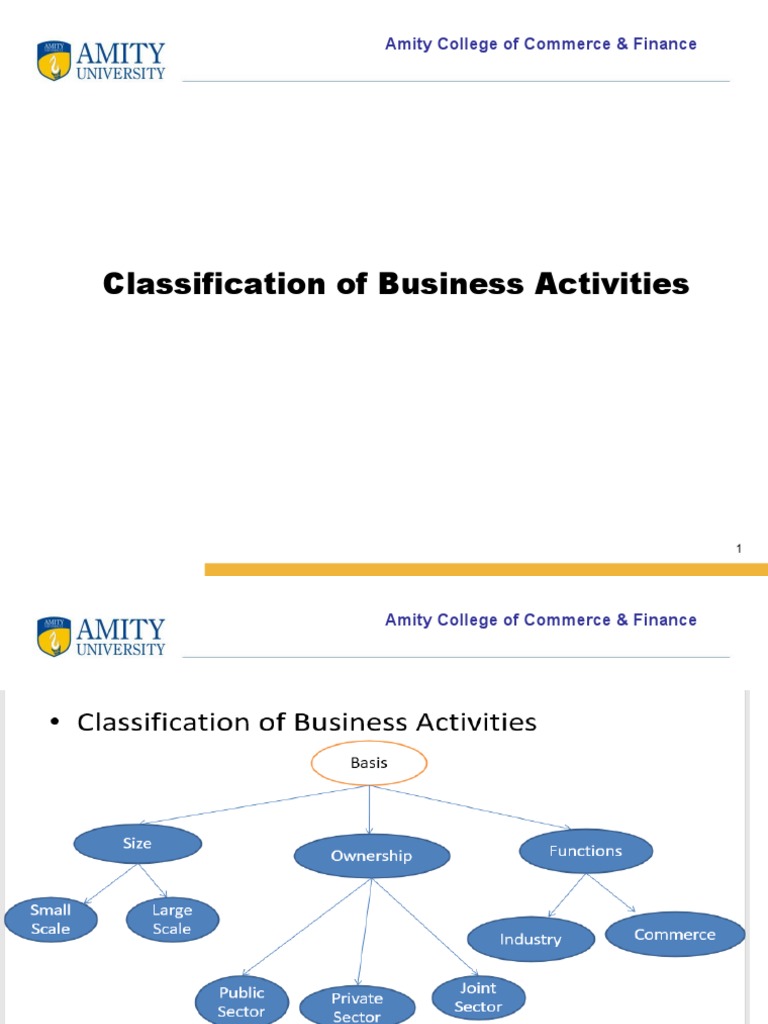 Module 1 Classification of Business Activities | PDF