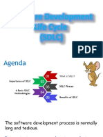 03) Procedure For Design & Development | PDF | Verification And Validation | Input/Output