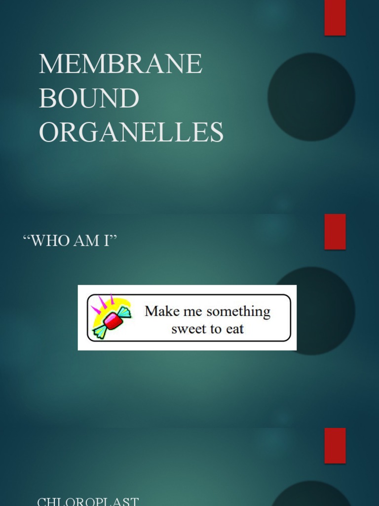 Membrane-Bound Organelles Guide | PDF | Social Science | Young Adult