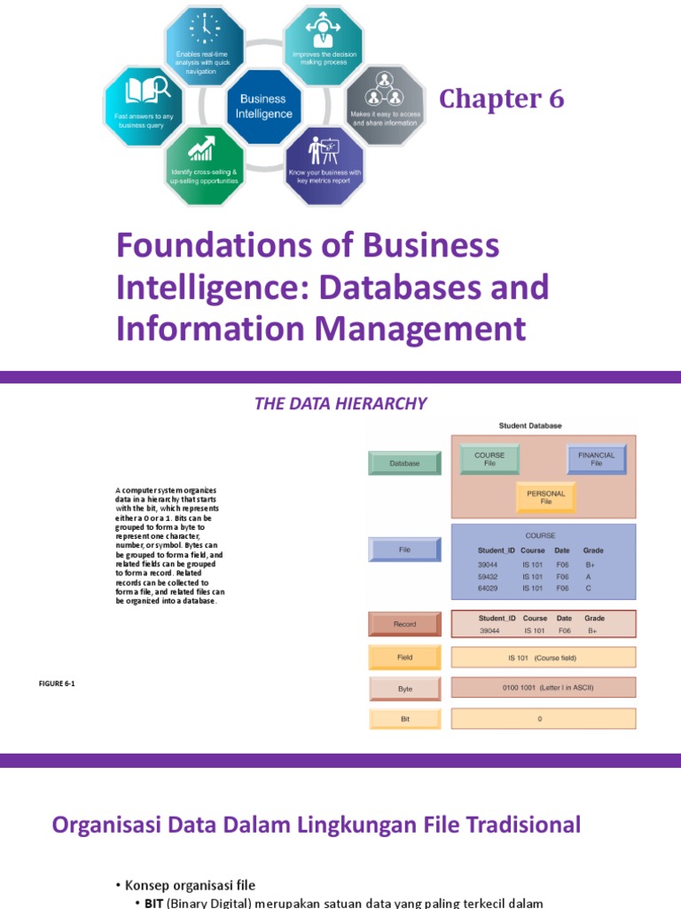 Foundations of Business Intelligence Databases and Information ...