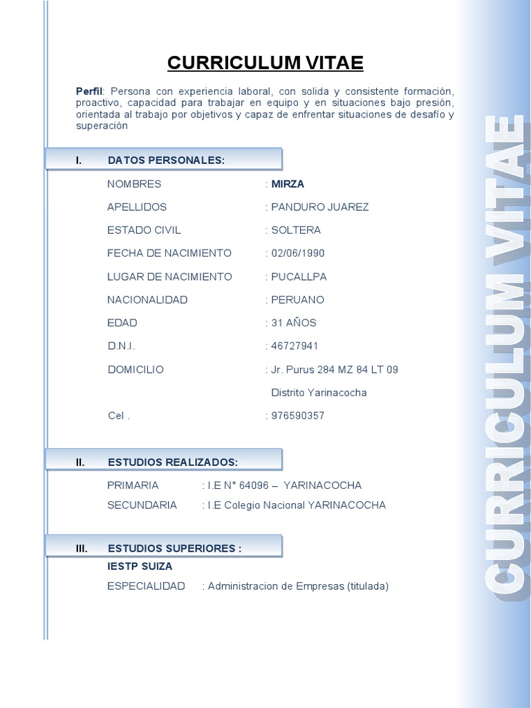 Curriculum MIRZA 2022 | PDF