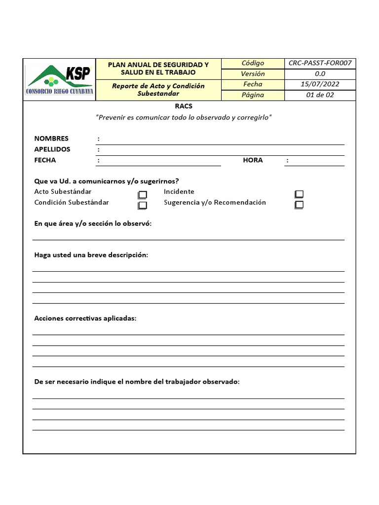 Anexo 07 Formato Racs | PDF