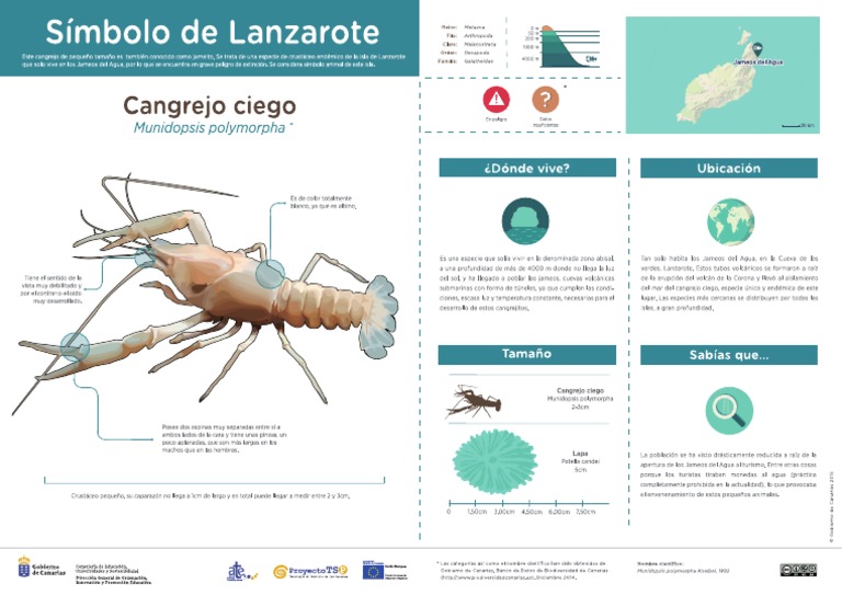 IA3 Cangrejo | PDF