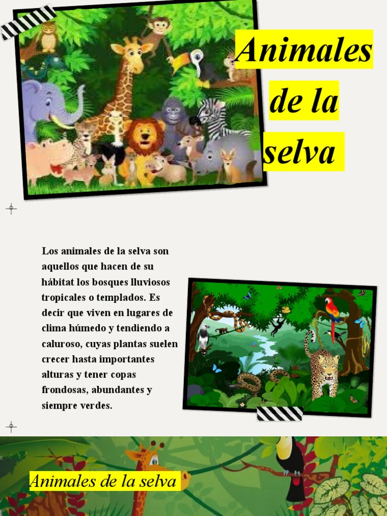 Animales de La Selva | PDF