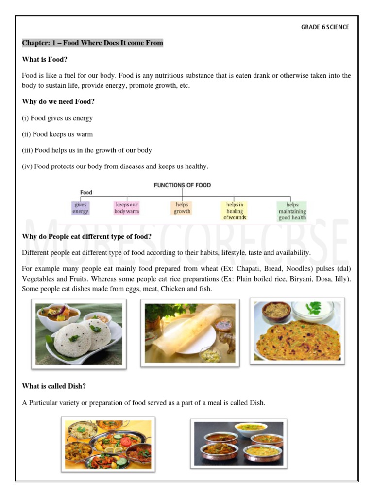 Class 6 Science CH 1 Foood Where Does It Come Notes PDF | PDF | Foods ...