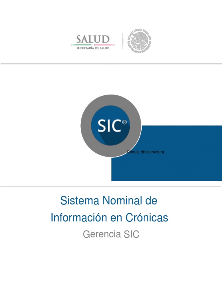 Manual Gerencia SIC: Uso y Herramientas | PDF | Información | Ventana ...