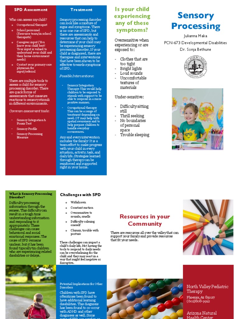 Maka - PCN 673 Sensory Processing Disorder Brochure 1 | Download Free PDF | Sensory Processing ...