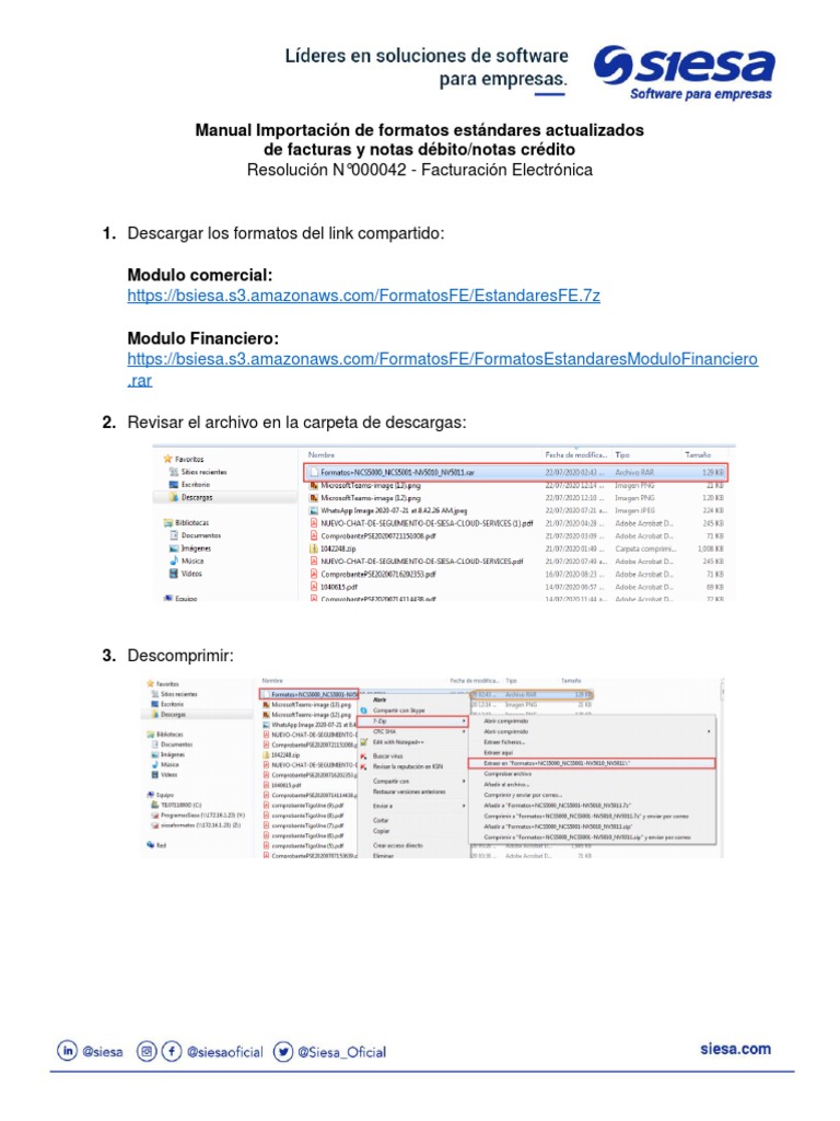 Manual - Importación de Formatos Resolución N°000042 Facturación ...