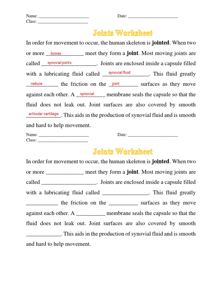 Kami Export - Joints Worksheet | PDF | Joint | Skeleton