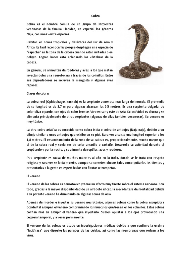 Las características y tipos de la serpiente conocida como cobra | PDF | Squamata | Serpiente