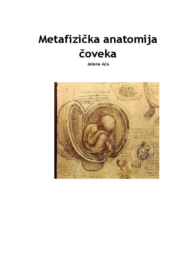 Metafizička Anatomija Čoveka | PDF