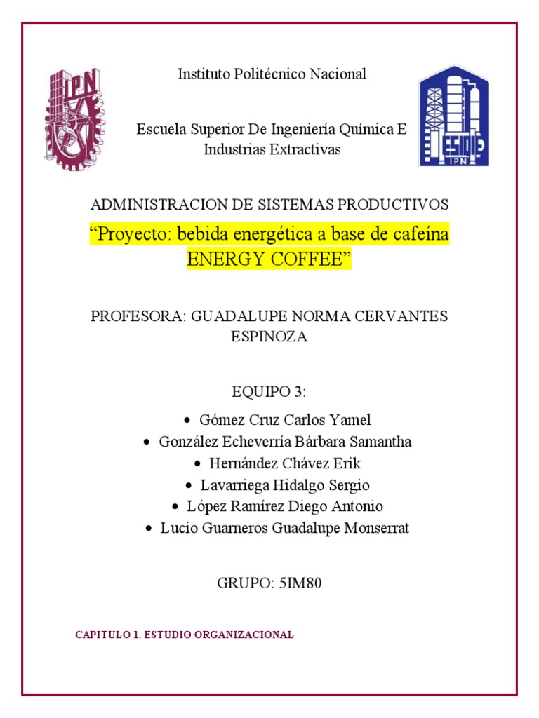 Proyecto Equipo 3 | PDF