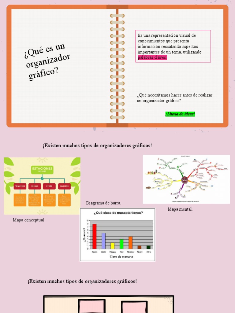 Organizador Gráfico | PDF