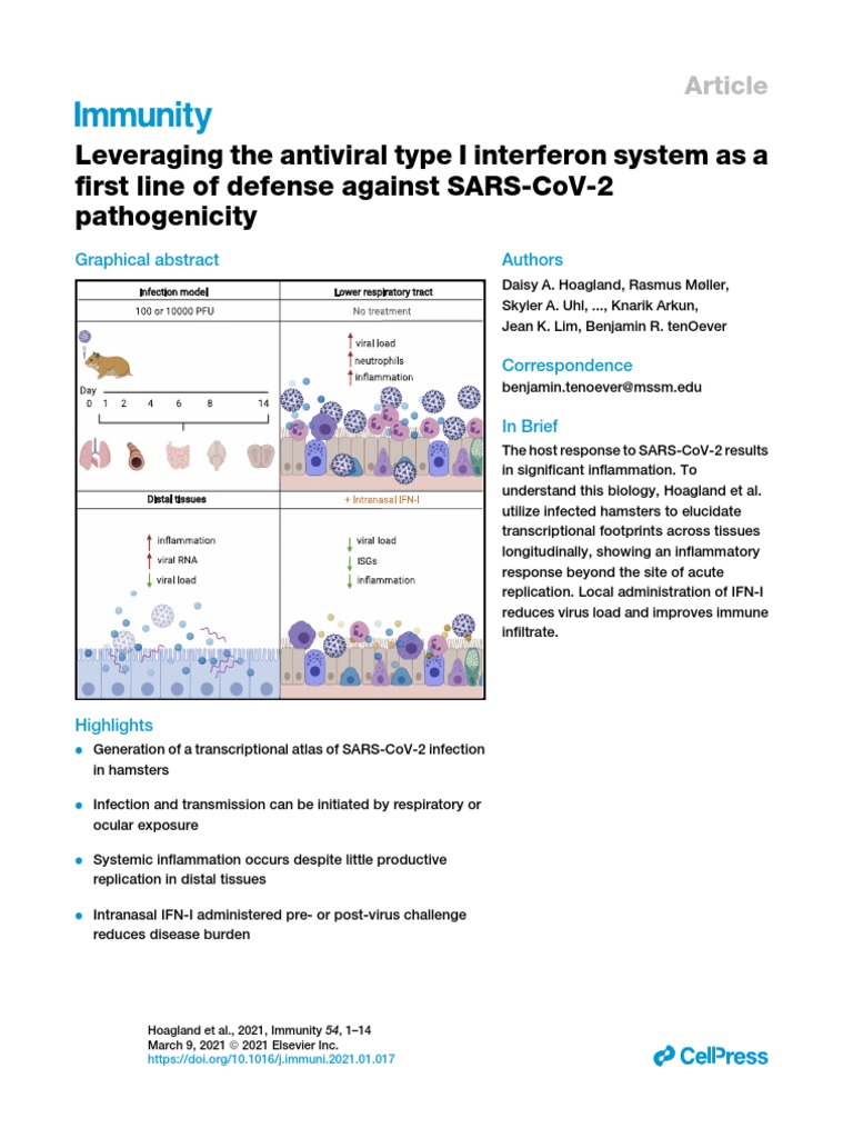 Leverage Antiviral InterF Longcovid | PDF | Virus | Influenza A Virus