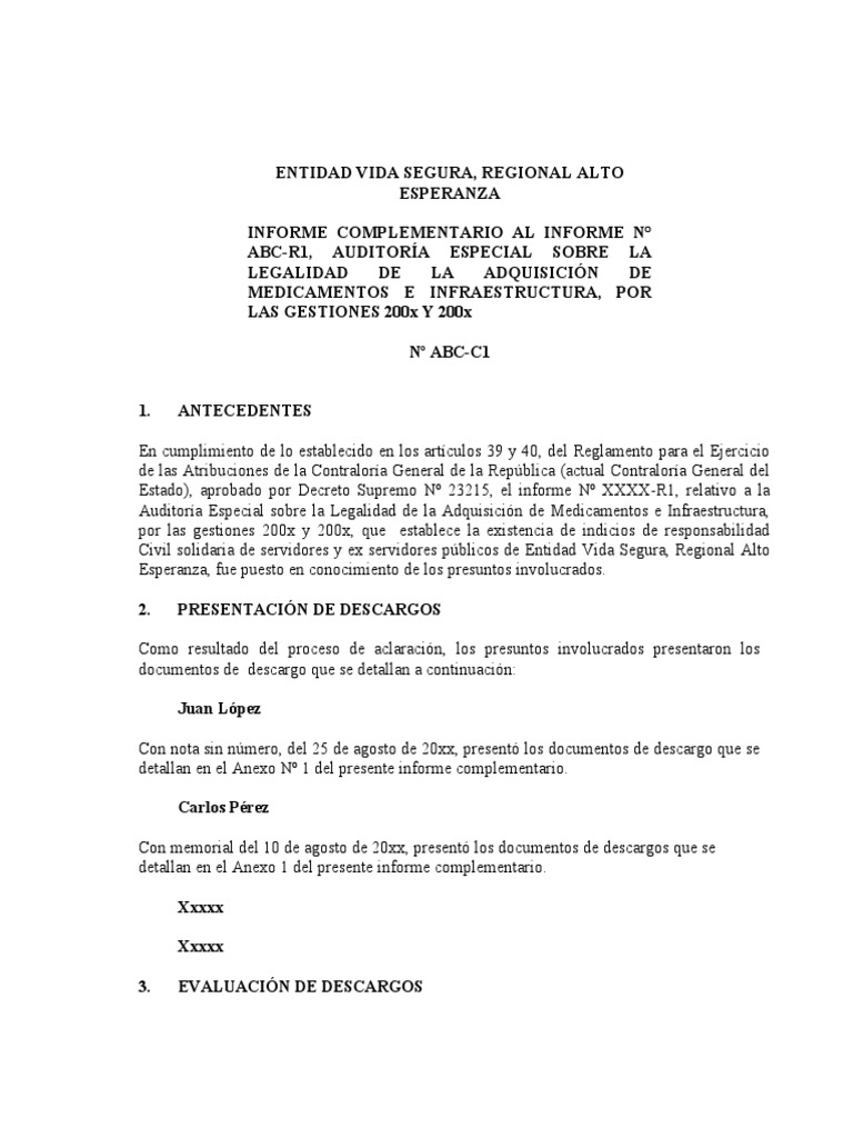 Modelo - Informe Complementario | PDF | Auditoría | Ropa