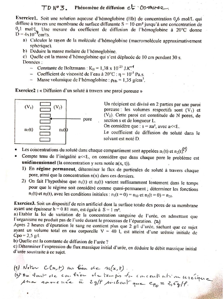 TD 03 Phénomène de Diffusion Et Osmose | PDF