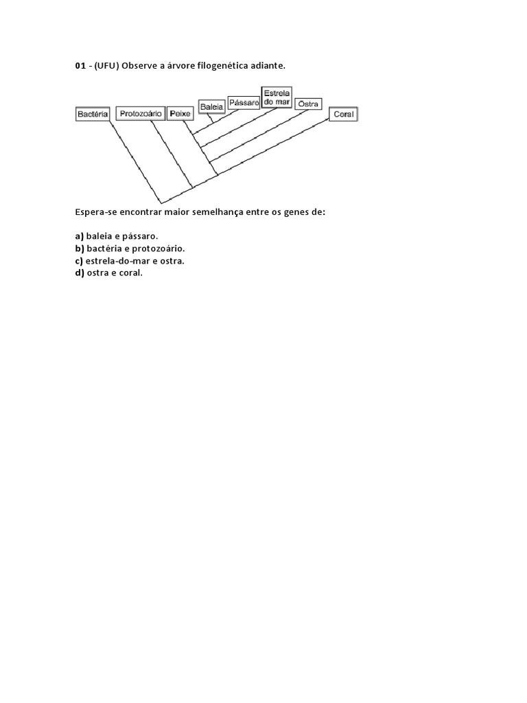 Questões de Filogenia e Cladística | PDF | Filogenética | Taxa