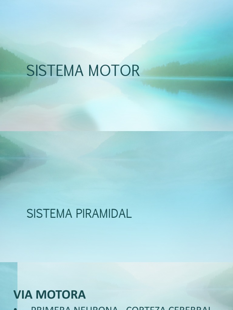 Diapositivas Sistema Motor | PDF | Neurociencia | Sistema nervioso