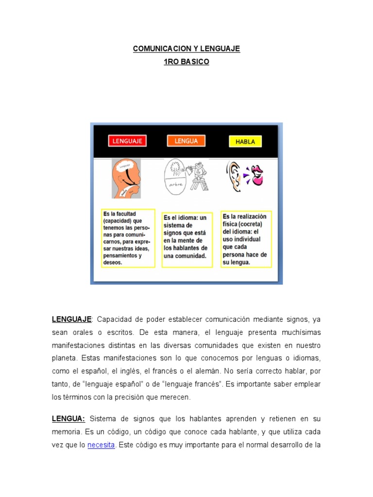 Comunicación y Lenguaje en 1ro Básico | PDF