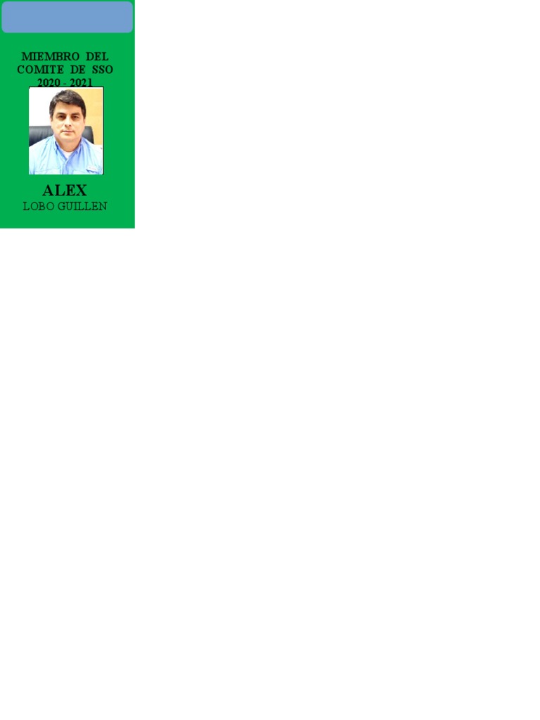 Credencial Miembros CSST 2020 - 2021 | PDF