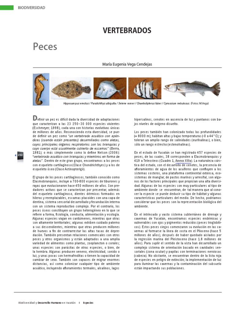 Diversidad de Peces en Yucatán | PDF | Pescado | Vertebrados