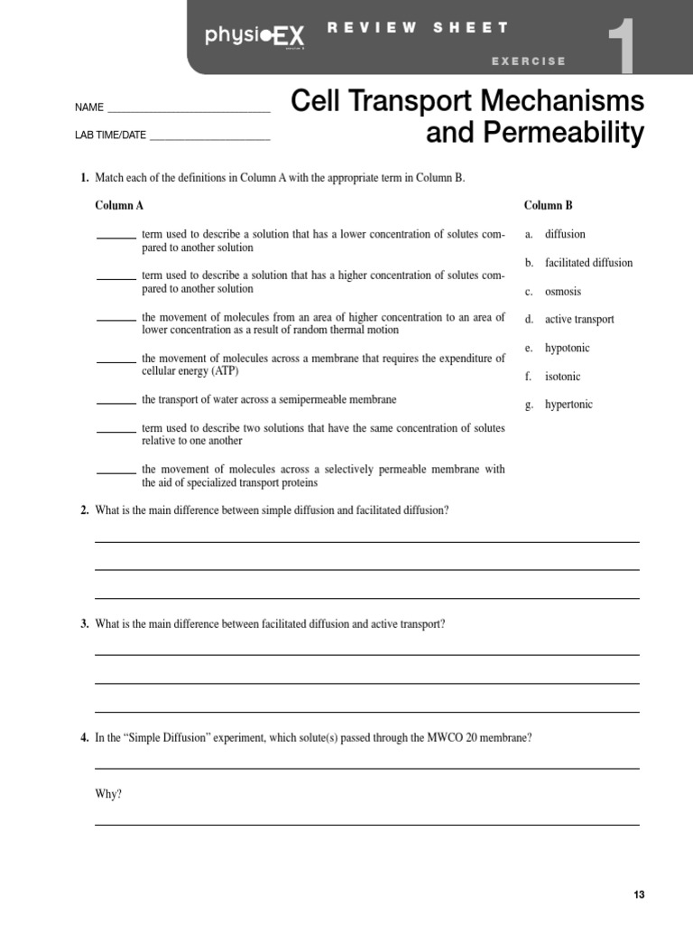 Cell Transport Mechanisms Review Sheet: Understanding Diffusion ...