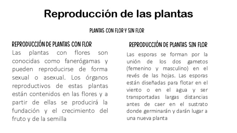 Reproducción de Plantas para Niños | PDF