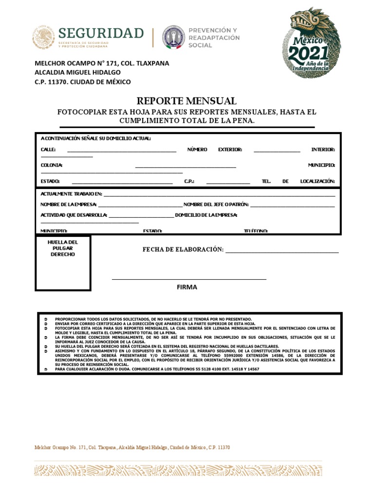Formato Reporte Mensual | PDF | Gobierno | Justicia