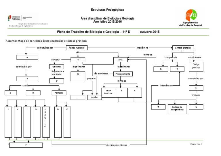 Mapa Conceito Sintese Proteica | PDF | Biologia | Ácidos nucleicos