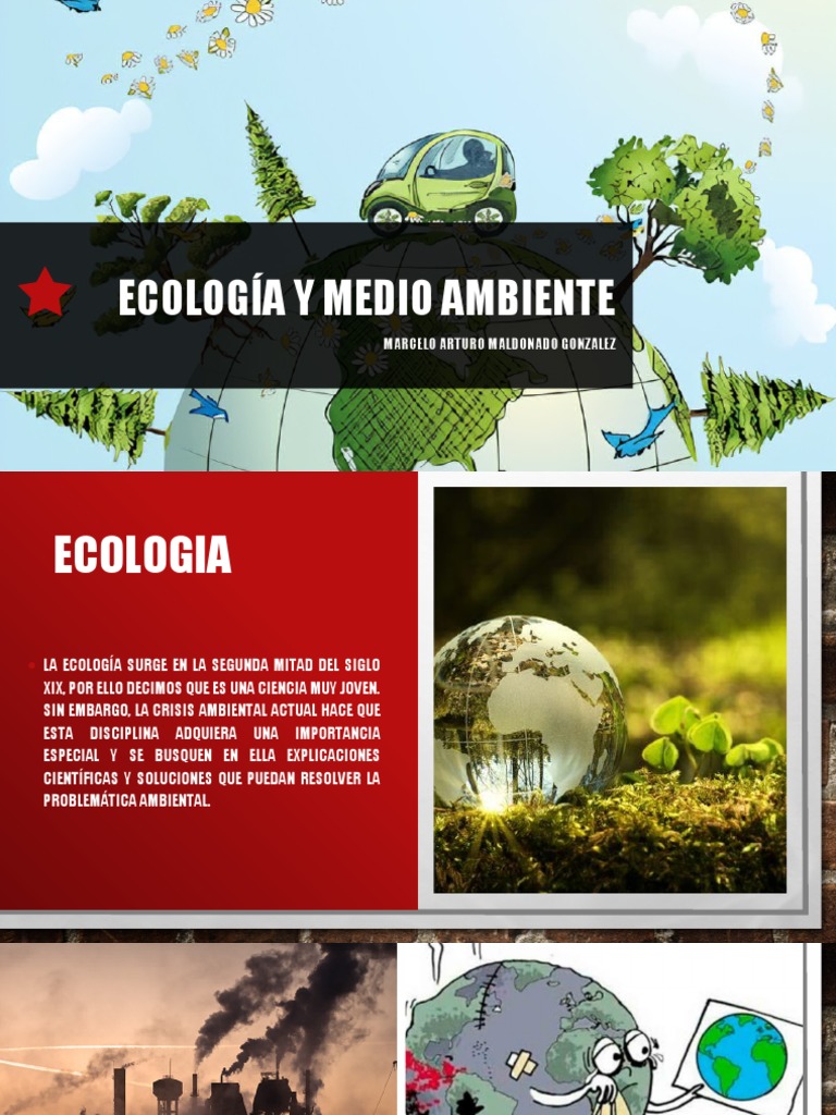Importancia de la Ecología Actual | PDF | Ecología | Entorno natural