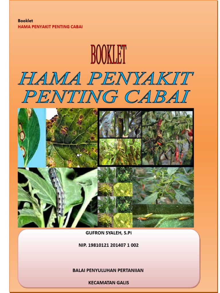 Booklet Hama Penyakit Cabai | PDF | Kesehatan Holistik
