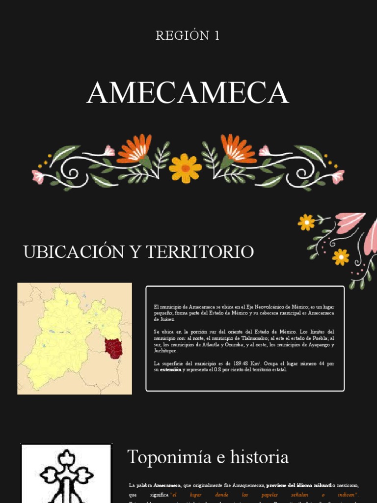 AMECAMECA Presentación | PDF