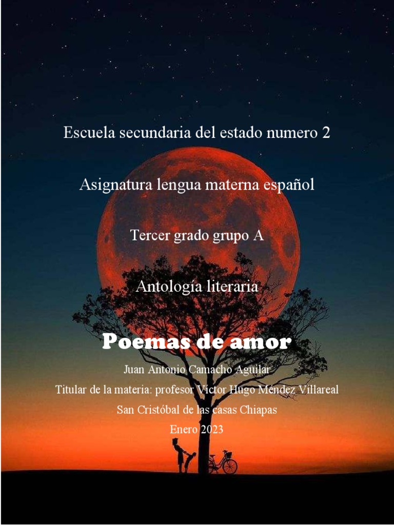 Escuela Secundaria Del Estado Numero 2 | PDF | Amor