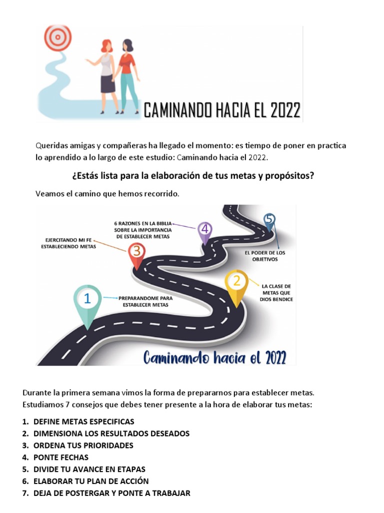 Guía de Metas y Plan de Acción 2022 | PDF