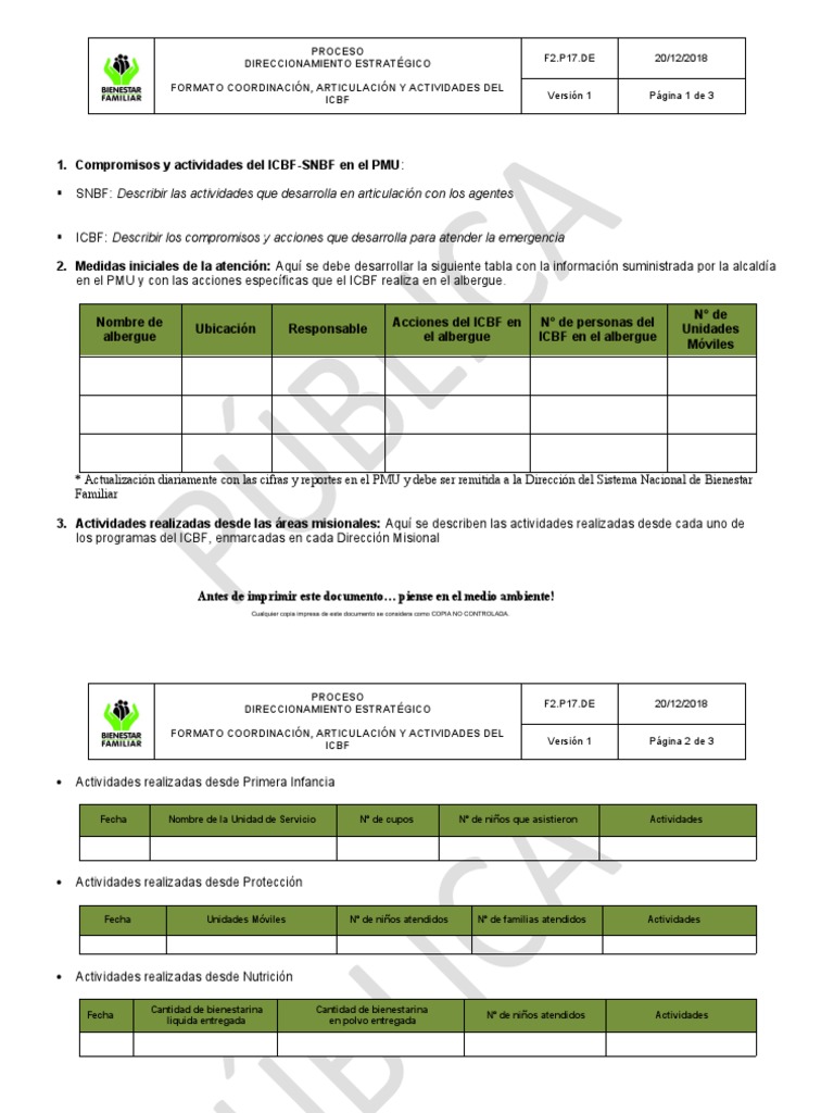 F2.p17.de Formato Coordinacion Articulacion y Actividades Del Icbf v1 | PDF