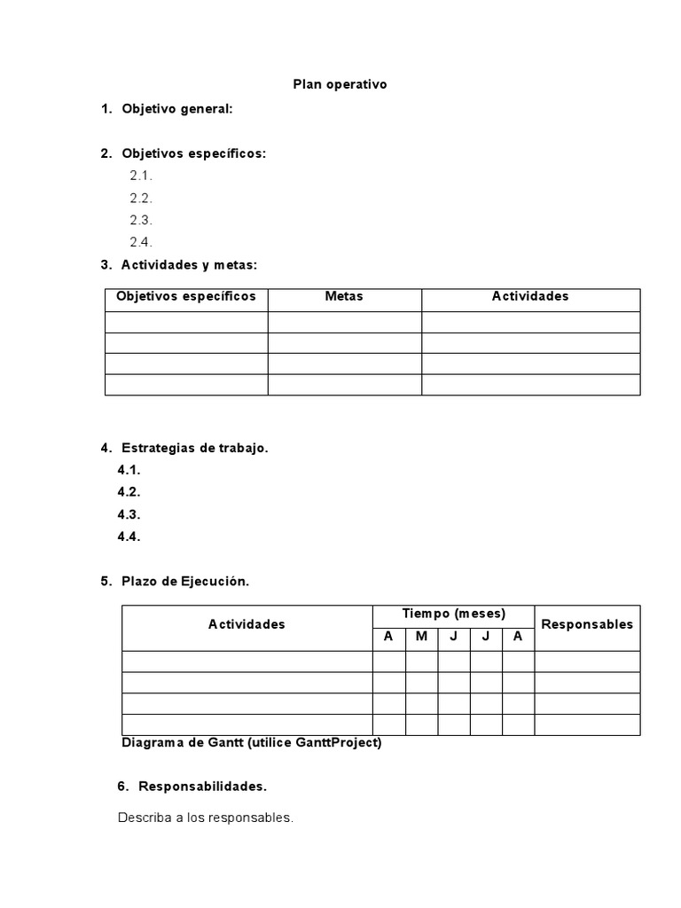Esquema Plan Operativo | PDF | Informática