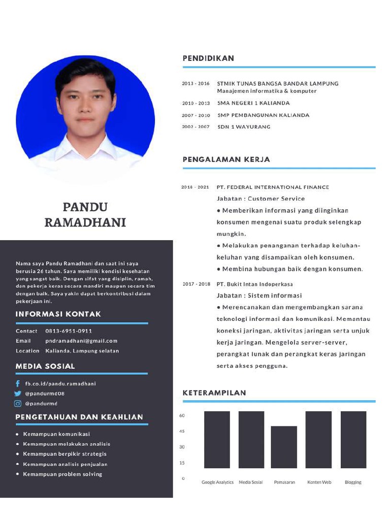 CV - Pandu Ramadhani | PDF