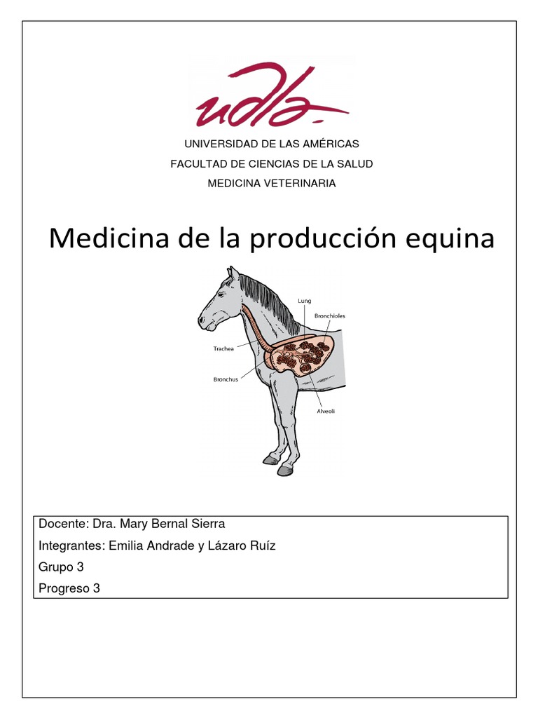 Caso Clinico Caballos P3 V2 | PDF | Laringe | Tos