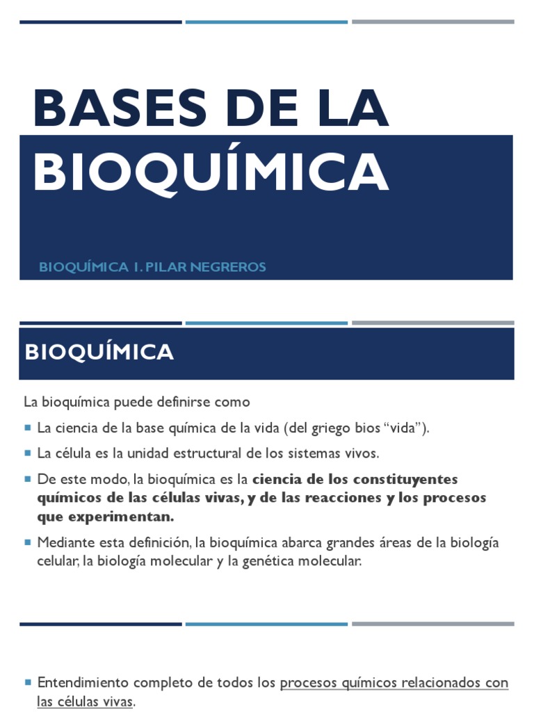 Bases de La Bioquímica | PDF | Eucariotas | Biología Celular)