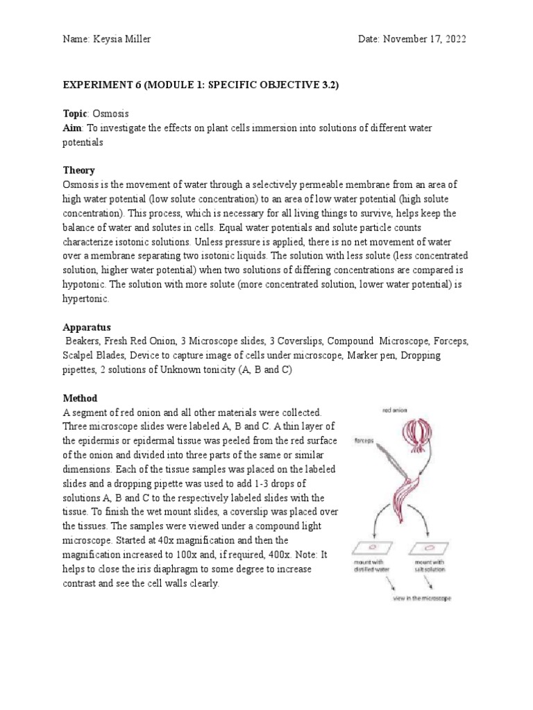 Osmosis Pdf Osmosis Chemistry