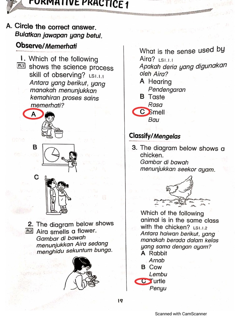 Revision (Science Process Skills) | PDF
