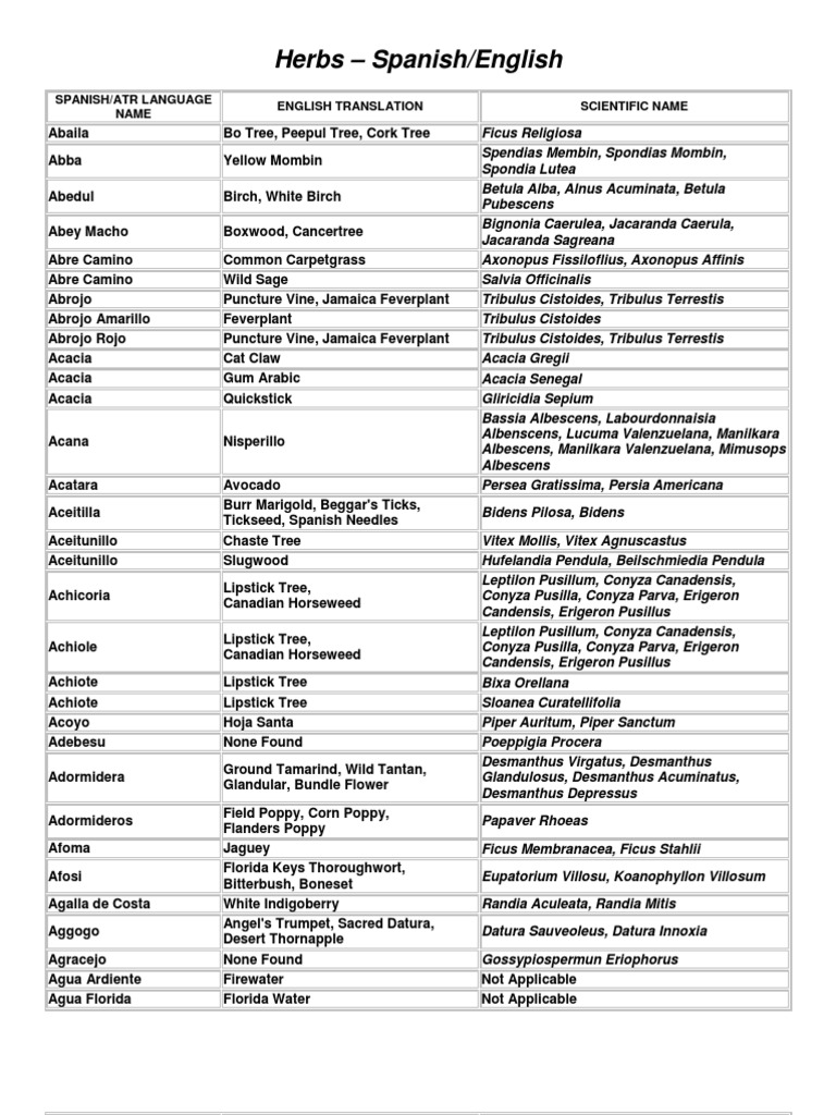 Herbs English Spanish Translation | PDF | Fennel | Capsicum